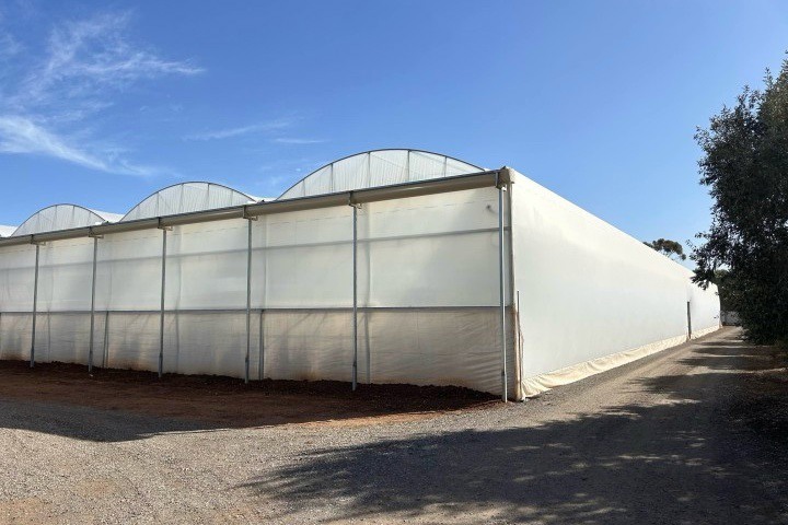 Grower in the Spotlight