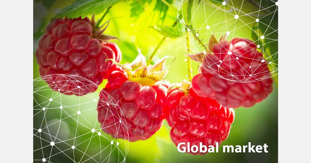 Global market overview: raspberries