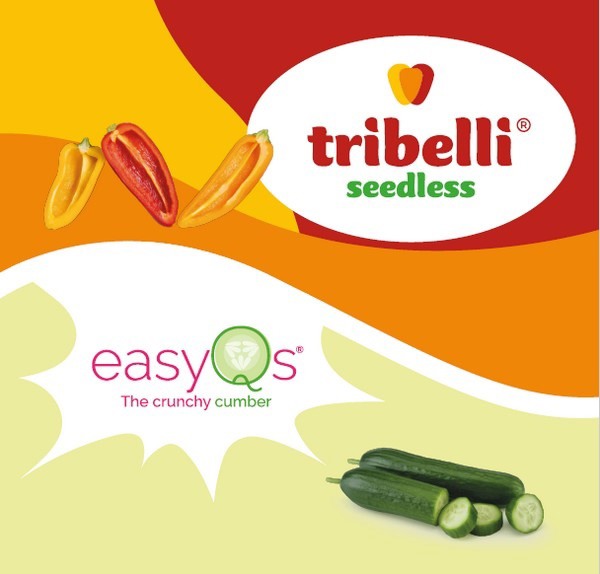 Tribelli seedless peppers and easyQs cucumbers launched