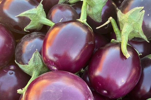 Strong pricing until 2026 on Asian vegetables