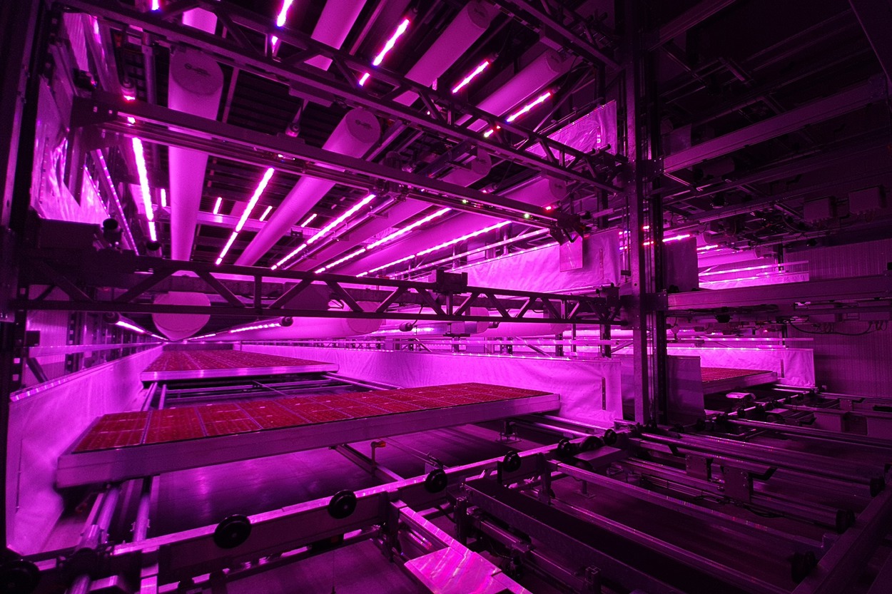 Microgreens and in vitro cultivation pioneer reaches for the skies with ...