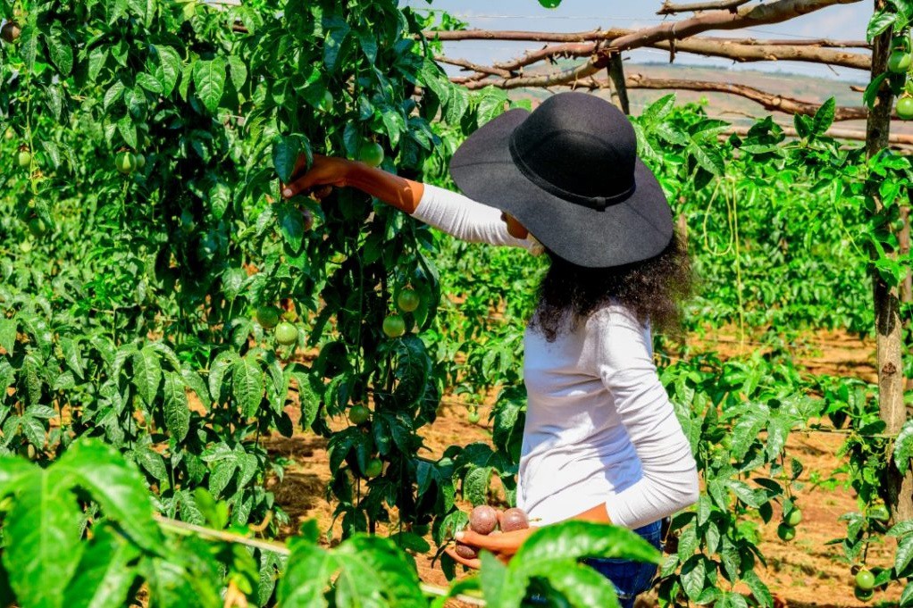 Woman-led company offers wide range of fruits and vegetables to ...