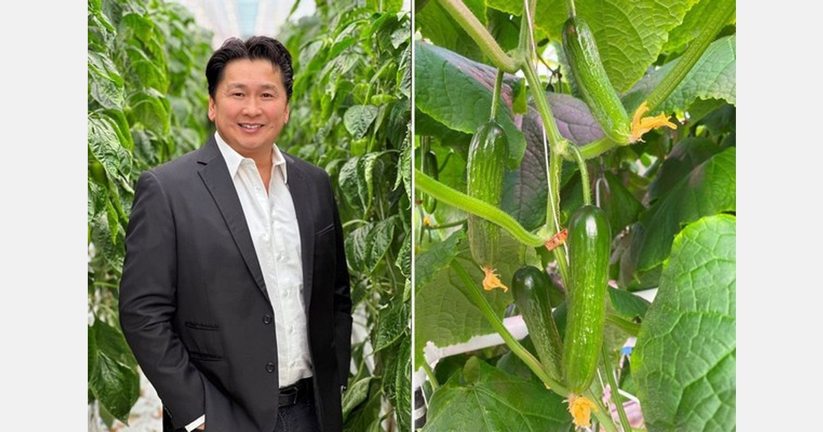 Ontario greenhouse vegetable growers call for stronger Canada-U.S ...