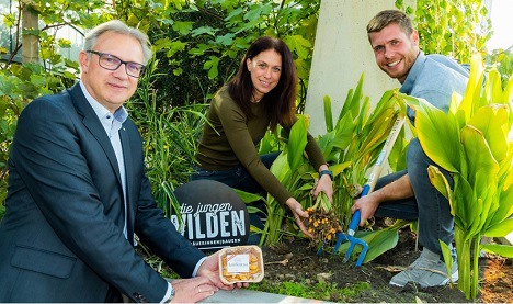 Organic turmeric from Styria