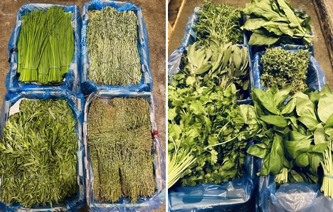 "Many herb varieties - most notably basil - are now selling nicely ...