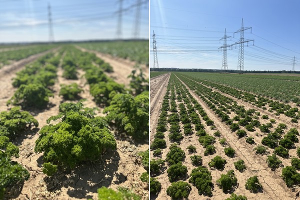 "Our focus remains on differentiating our product range"