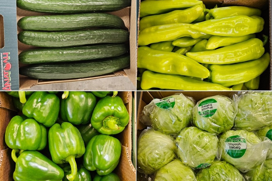 "Brix values for Greek juice oranges this year higher than ever"