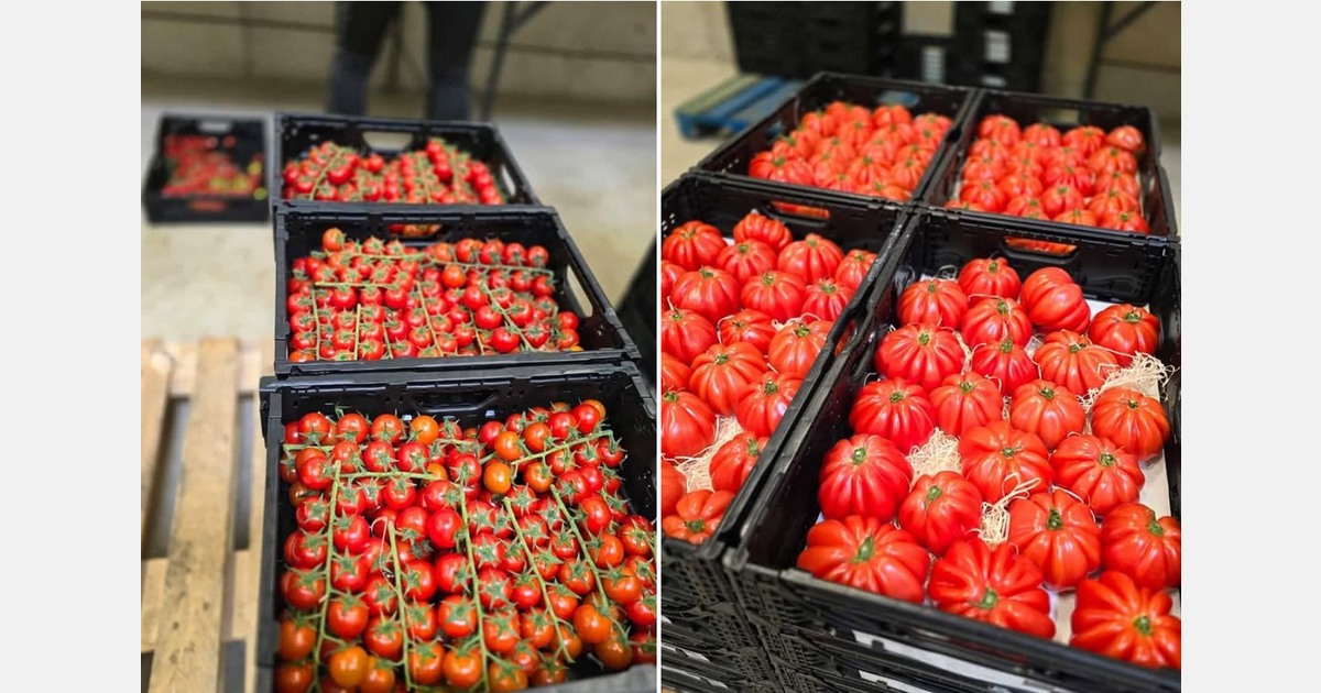 “In a volatile energy market, you can still be powerless”