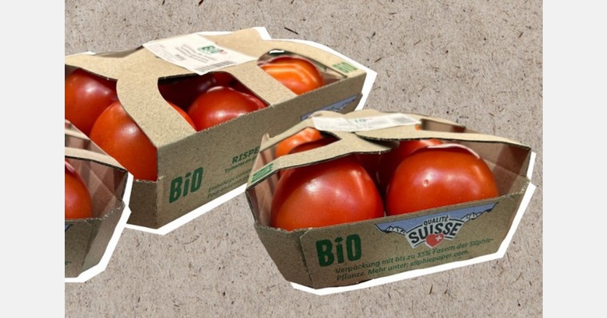 Lidl now uses cup plant trays for organic tomatoes