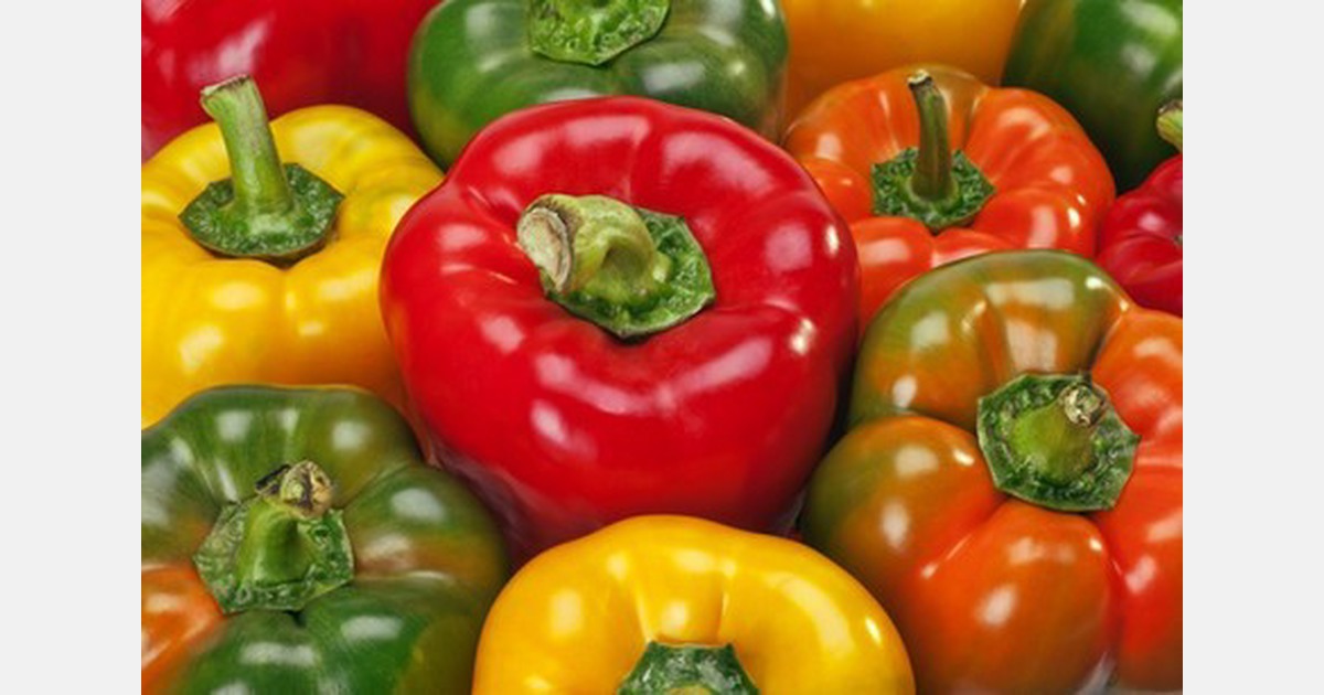 Germany: The first Brandenburg peppers are here