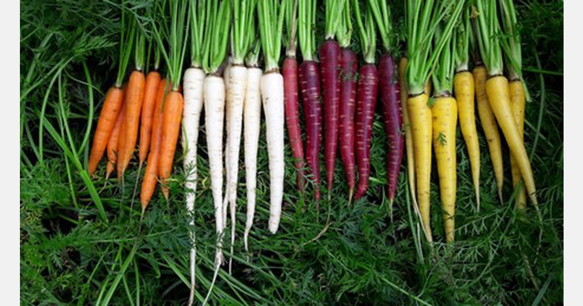 "The demand for our vegetables is growing internationally"