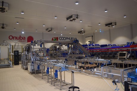 "Consumers are also becoming blueberry specialists, not anything goes ...