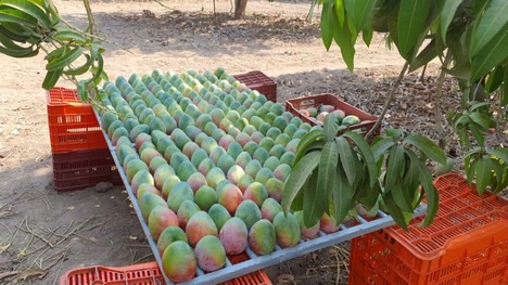 Tension between Morocco and Spain tops off a difficult year for the ...