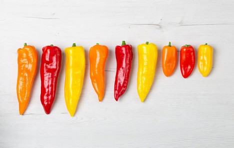 "The acreage continues to grow and the conical bell pepper market is ...