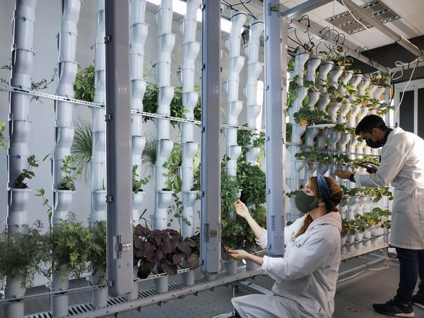 "Our solution for vertical farming is sustainable, efficient and ...