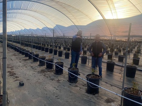 “We've strengthened our presence in the United States with our a la ...