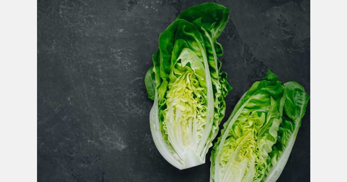 "In two weeks, most European retailers will have switched to Spanish ...