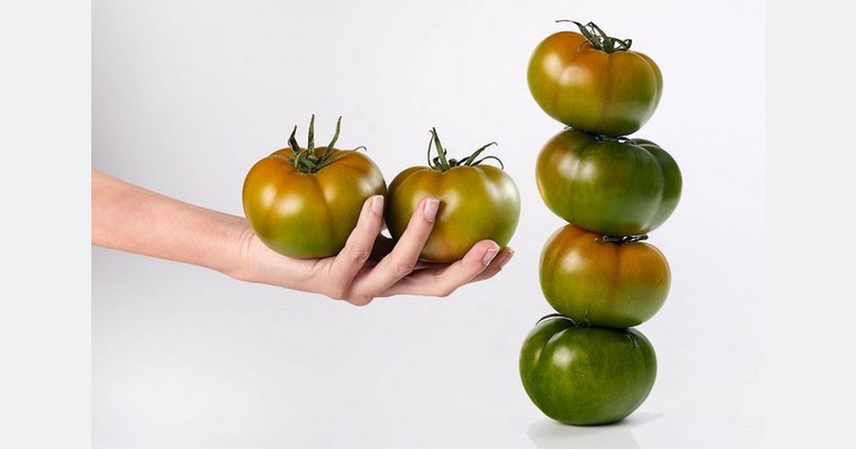 "This summer, we've seen good peaks in the demand for tomatoes from ...
