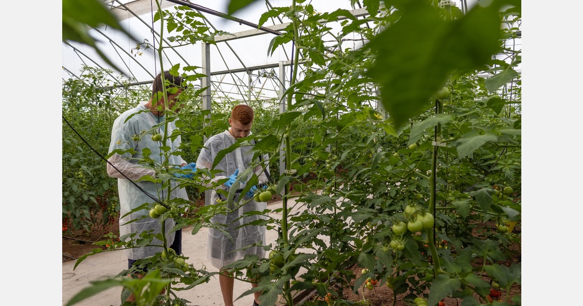 CapGen Seeds continues its international growth