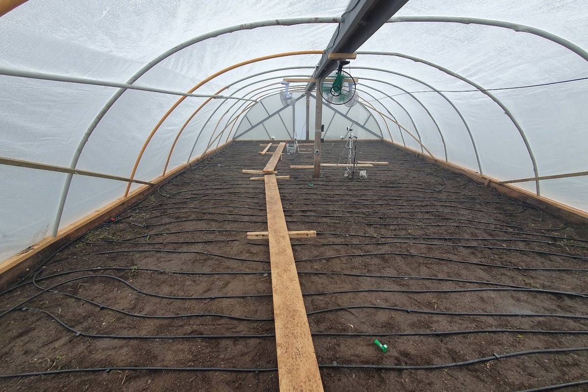 Spanish irrigation technology behind giant pumpkin record in Scandinavia