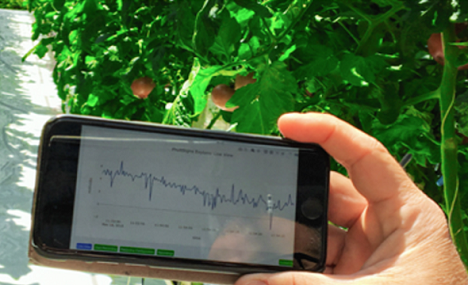 PhytlSigns: analyzing and using electric signals from plants to ...