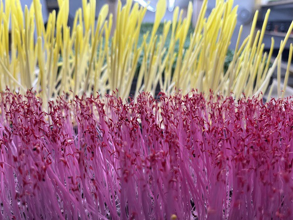 Micro-pods: “Metro national referencing objective”