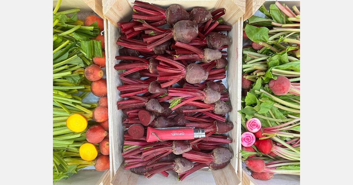 The mini vegetable trend continues to grow