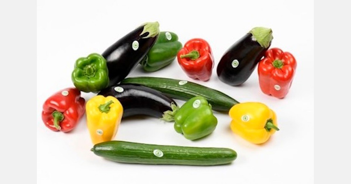 "There would be major advantages in developing the French pepper sector"