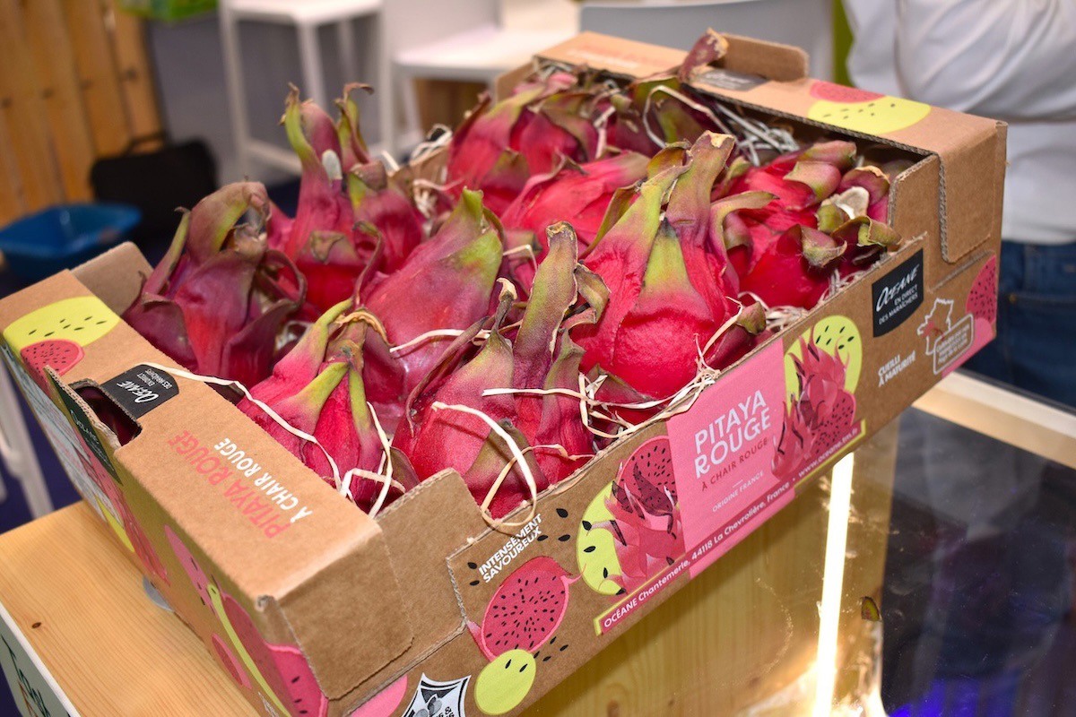 Pitaya: the next trendy fruit "made in France"?