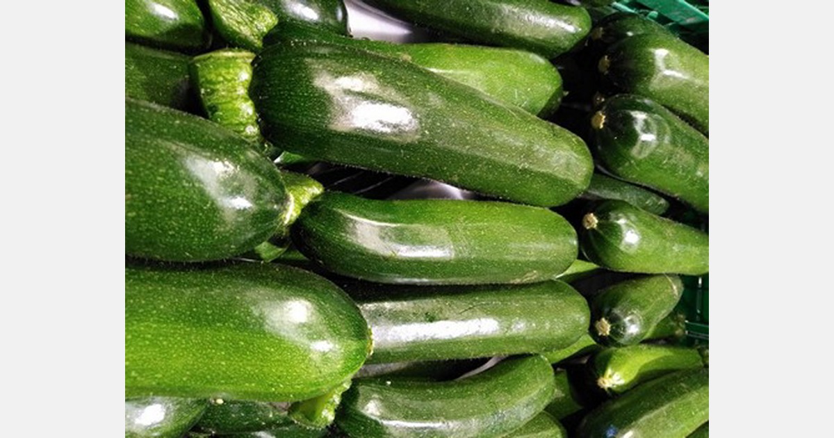 Organic courgettes and cucumbers see a boom in orders, requested mainly ...