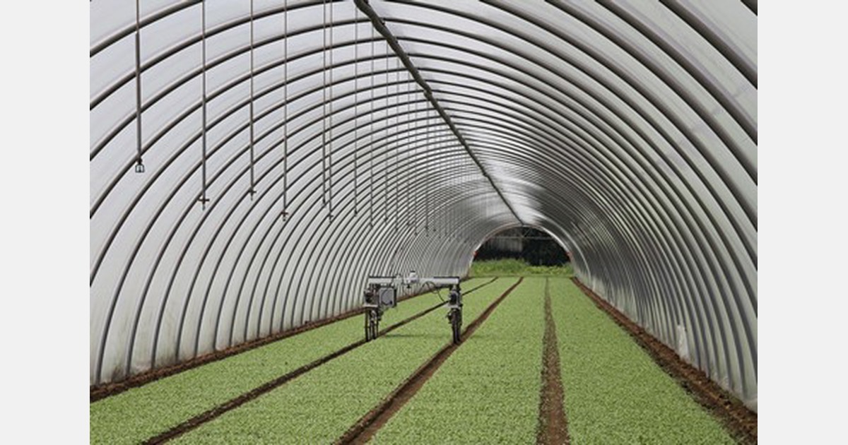 First mechanical weeding prototype