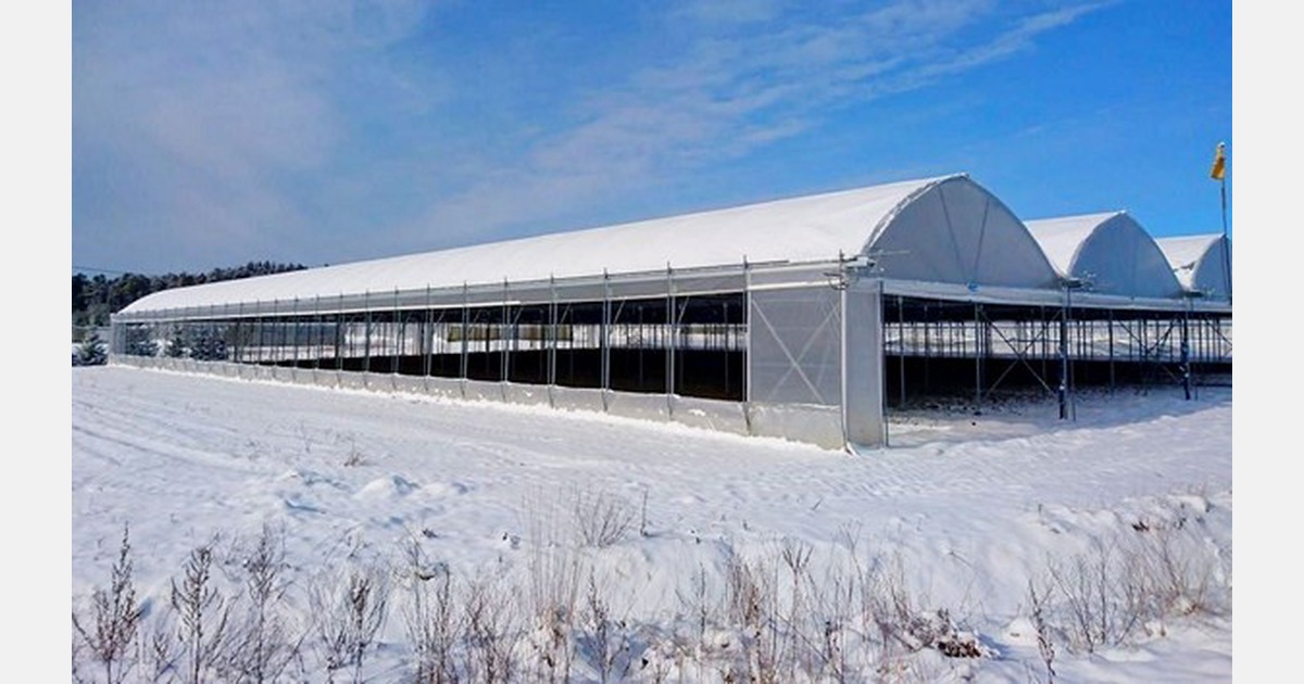 New greenhouse types available to meet harsh climatic conditions