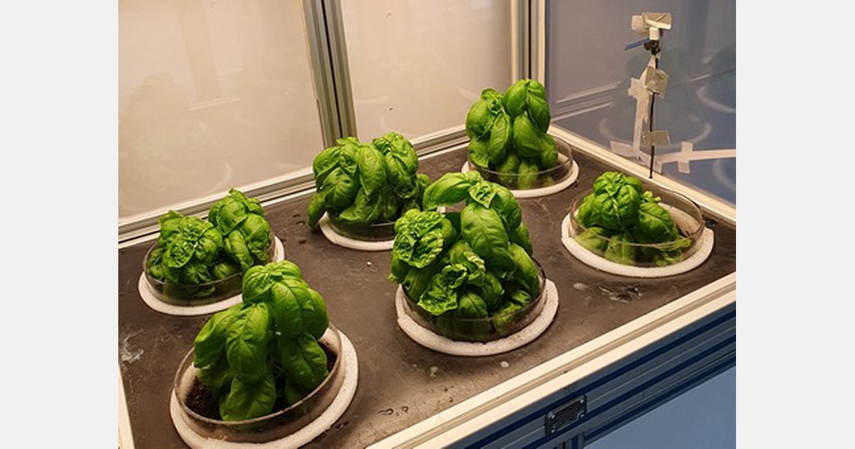 Microcosms and hi-tech plants - a new frontier for agriculture?