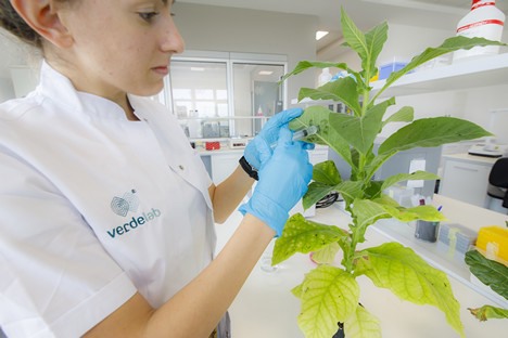 Verdelab Bioscience inaugurates its new headquarters