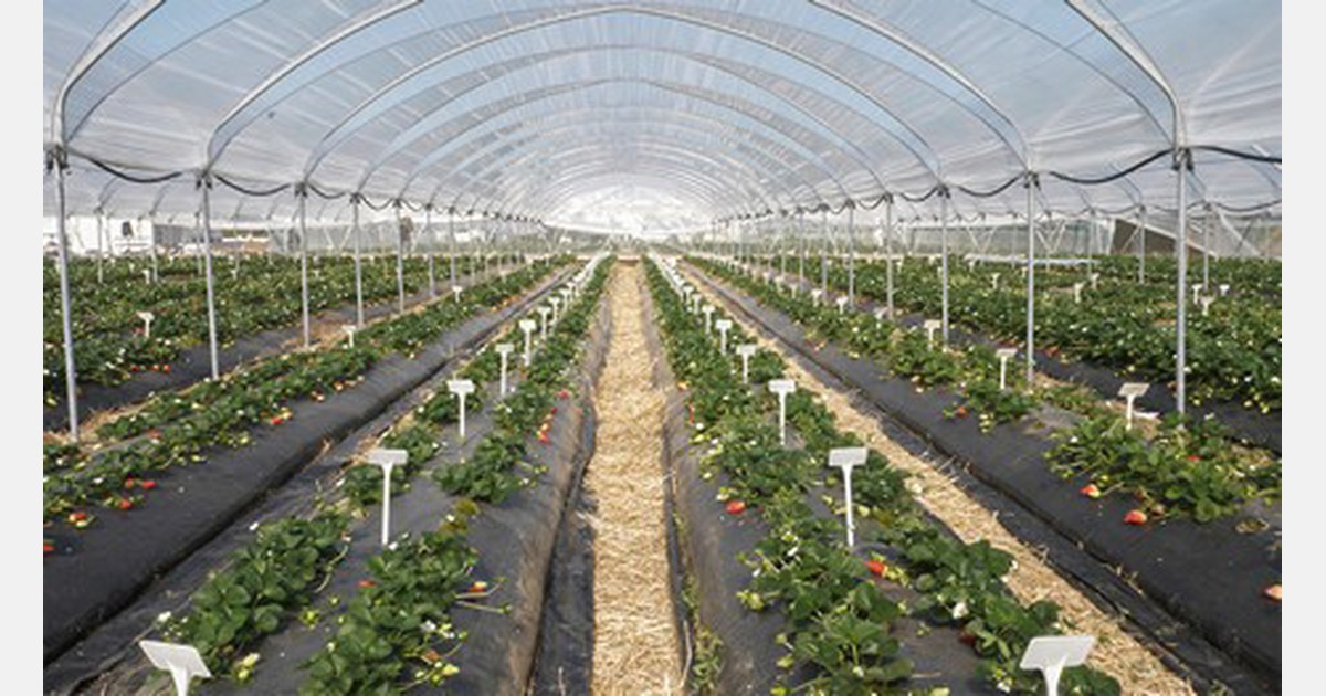 An international trade platform for a fast-growing business