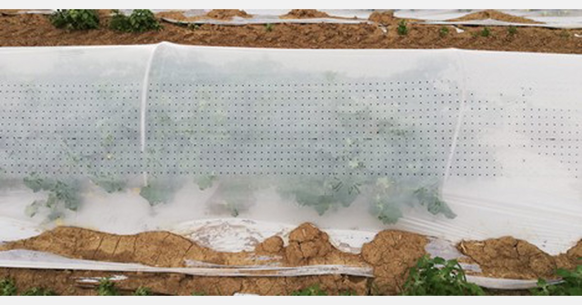 An alternative to TNT cover sheets