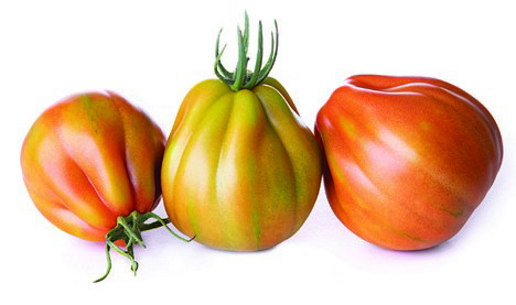 New Italian beefsteak tomatoes