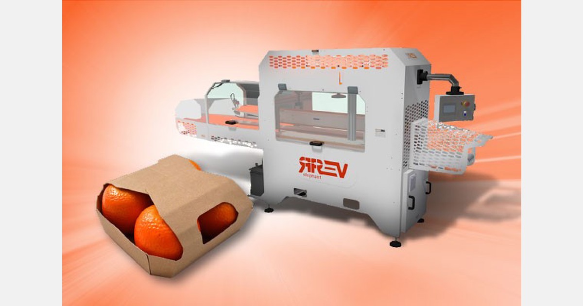 Fast and flexible closing machine for cardboard trays with flaps