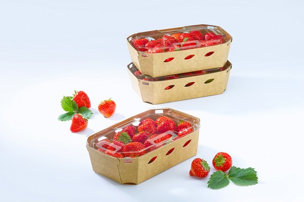 New packaging solutions for the global market