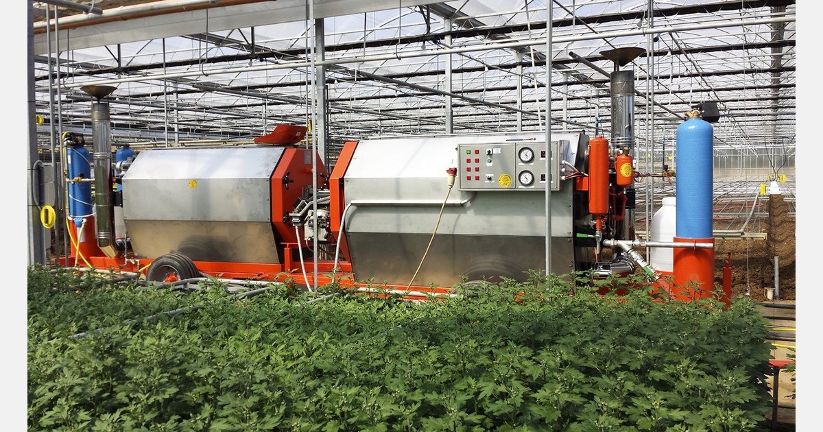 The efficiency of steam for greenhouse disinfection