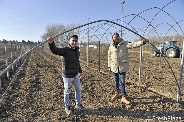 Twenty acres of greenhouses for the cultivation of vegetables and melons