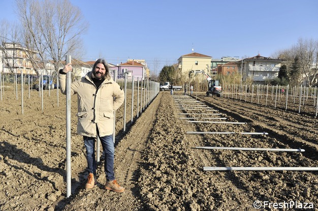Twenty acres of greenhouses for the cultivation of vegetables and melons