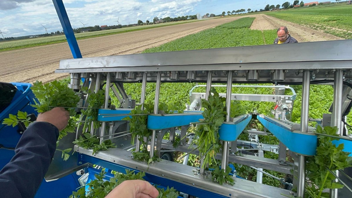 Harvesting machines for both protected and open field crops