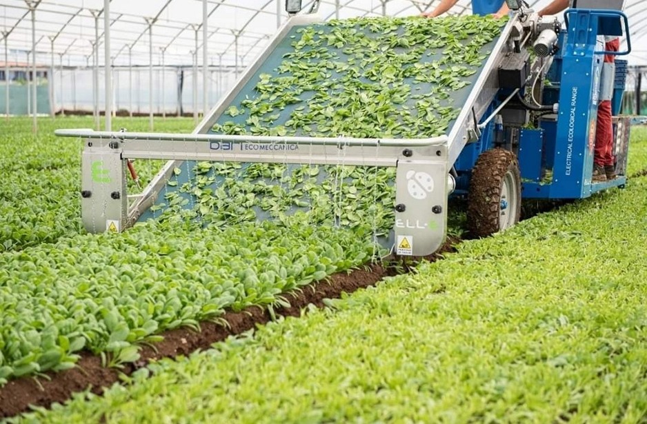 Harvesting machines for both protected and open field crops
