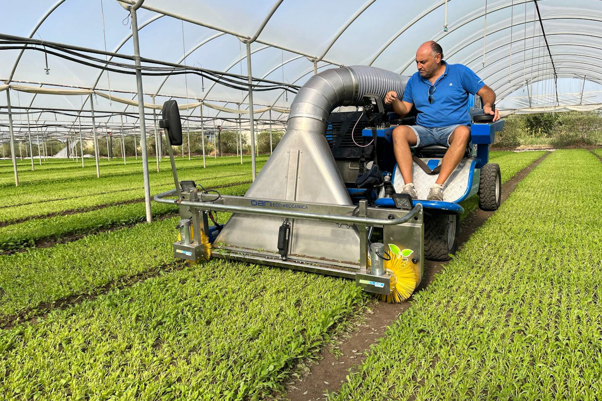 Harvesting machines for both protected and open field crops