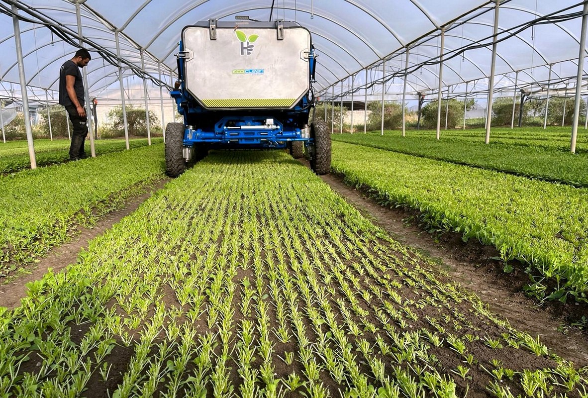 Harvesting machines for both protected and open field crops