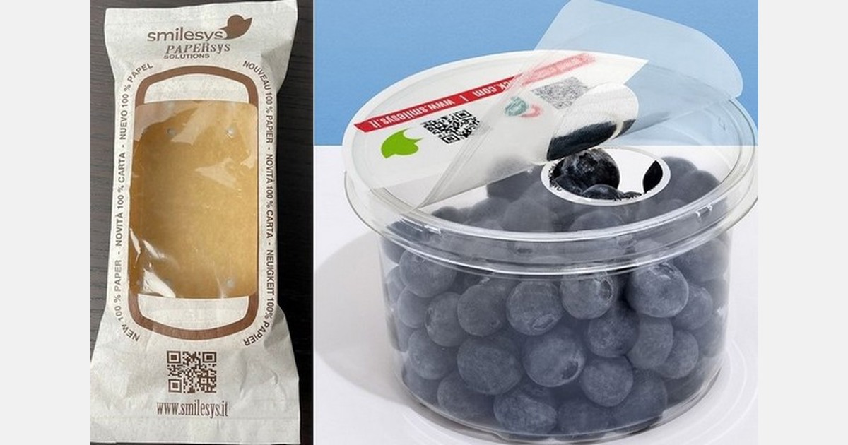 Two examples of the holistic approach to the term sustainability