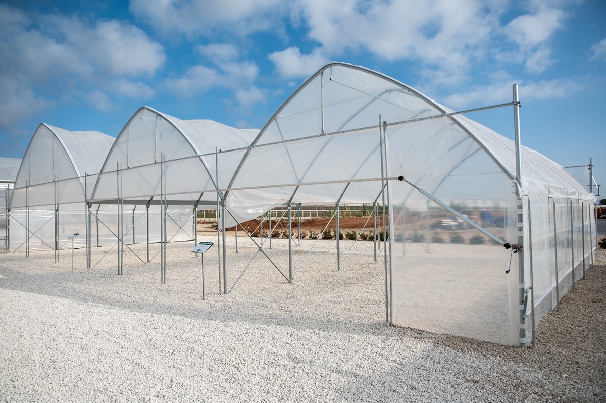 How high-tech greenhouses are designed