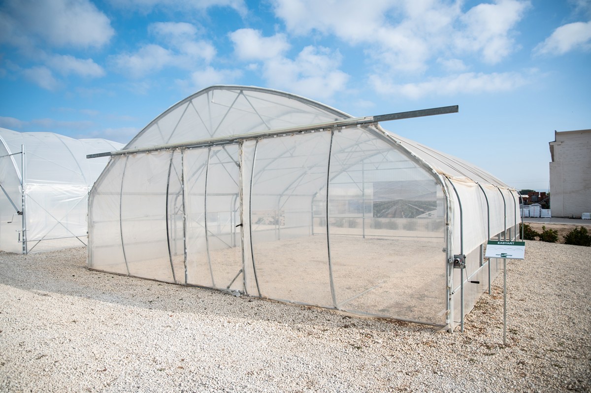 How high-tech greenhouses are designed