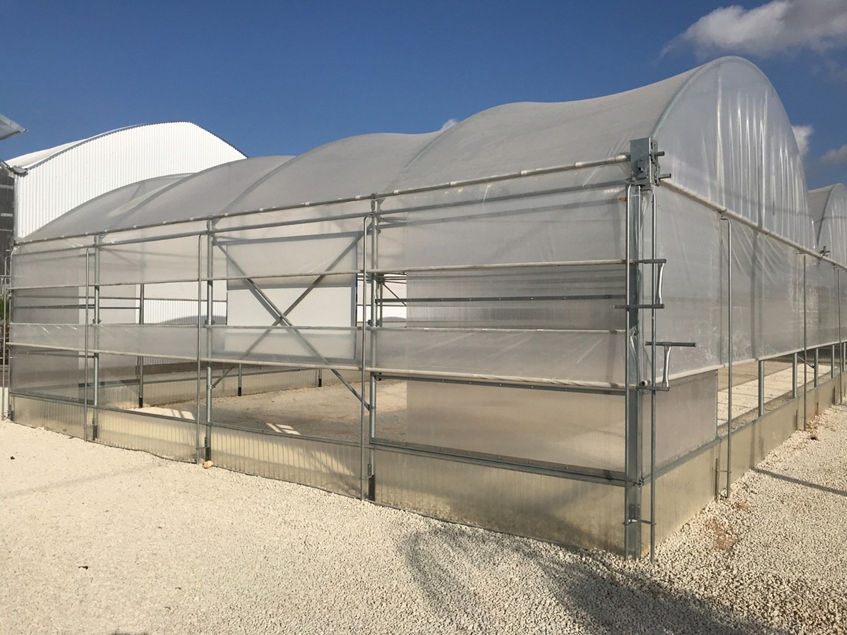 How high-tech greenhouses are designed